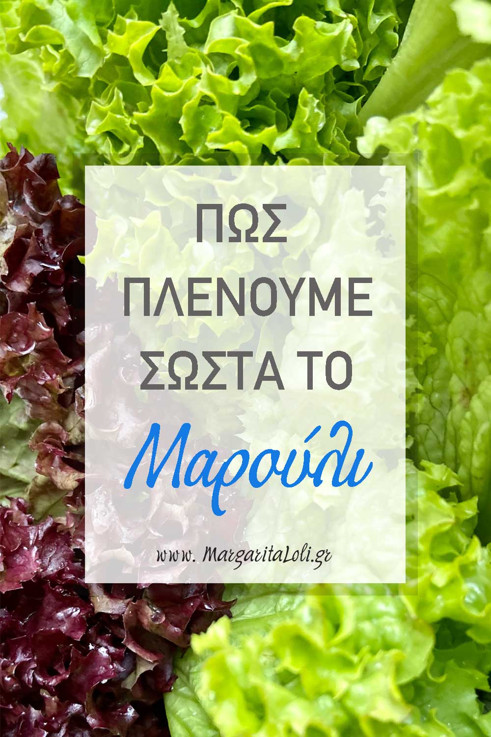 Πώς πλένουμε σωστά το μαρούλι - Margarita Loli